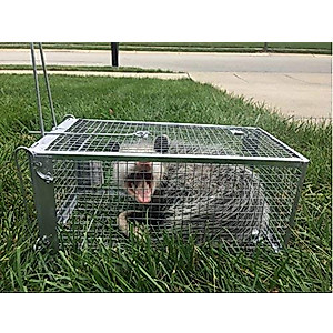 AB Traps Quality Live Animal Humane Trap Catch and Release Rats Mouse Mice Rodents Cage - Voles Squirrel and Similar Sized Pets Safe and Effective | Size Small