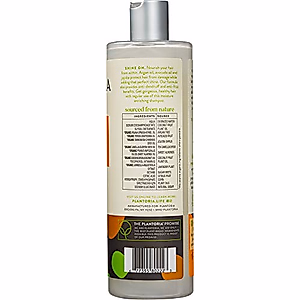 Plantoria Moroccan Argan Oil Shampoo | Plant Based Pure Vegan Organic Anti Dandruff & Frizz Hair Products for Women, Men, Teens, Kids | Natural Hair Shampoo With Coconut, Argan, Jojoba, Vitamin E