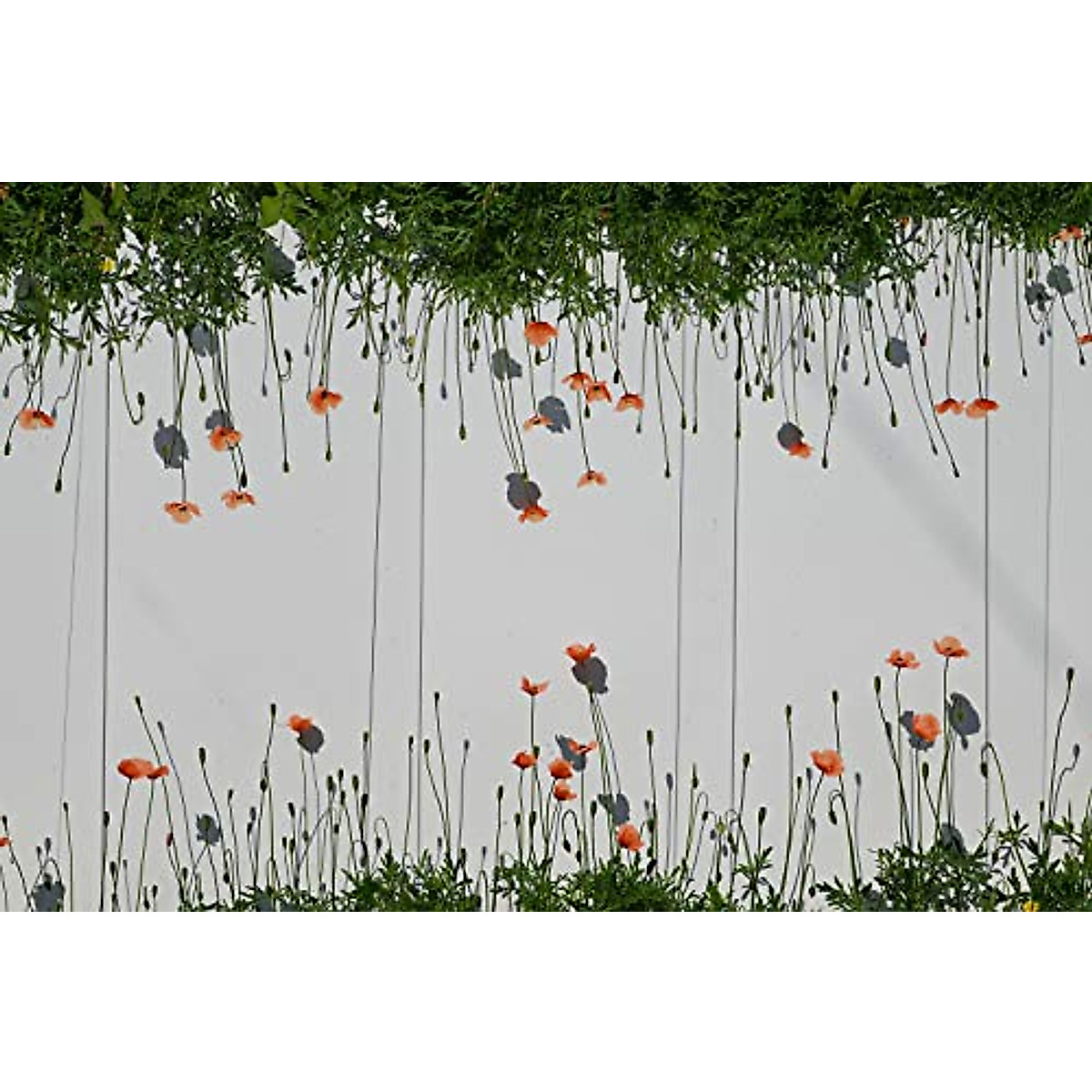 Nikon Z5 + Z 24-50mm Mirrorless Camera Kit (273-point Hybrid AF, 5-axis in-Body Optical Image stabilisation, 4K Movies, Dual Card Slots) VOA040K001