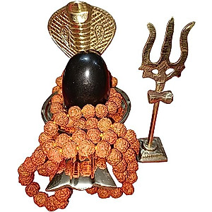 Shaligram Shiva Ling Lingam Shivling Naaga Brass Stand 4.7 Inches Approx Tirshul 4 inch Rudraksha mala 108 Beads 6mm