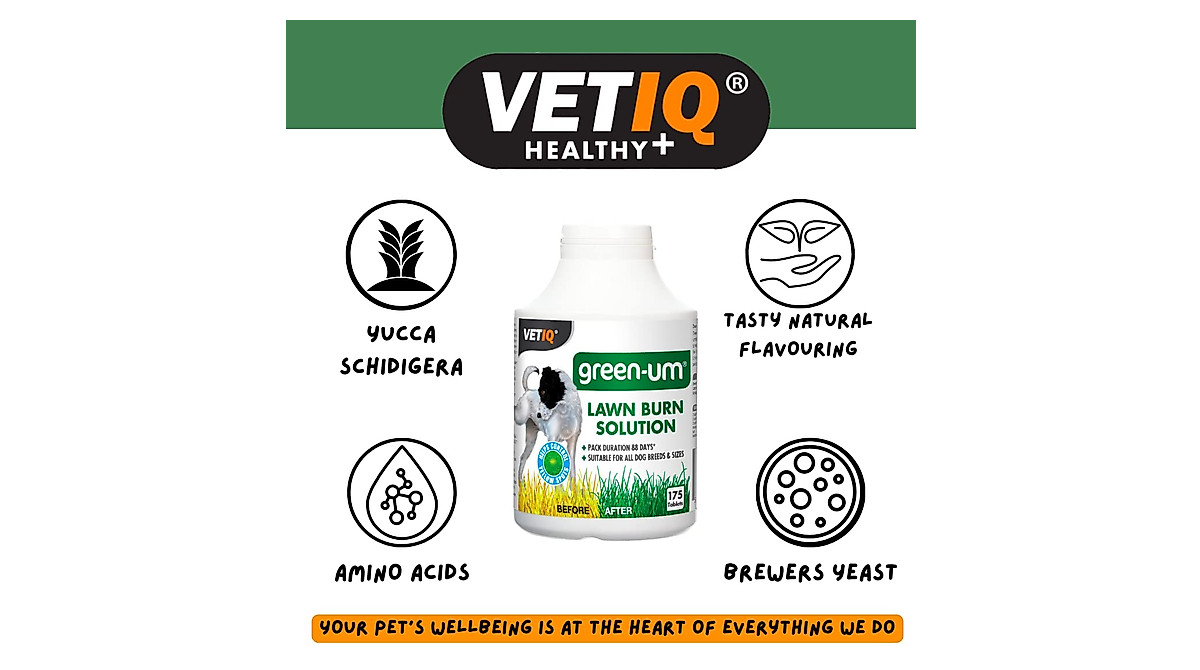VetIQ Green-Um Dog Urine Neutraliser - Prevent Lawn Yellow Spots