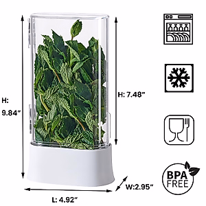 vacane Herb Keeper for Refrigerator, Fresh Herb Saver Herb Storage Containers, Cilantro Container for Fridge Asparagus Container, Dishwasher Safe