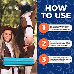 EquiGroomer Deshedding Brush, 8-Inch for Horses and Large Pets, Turquoise, Removes Loose Dirt, Hair, and Fur, Professional Undercoat Grooming Tool