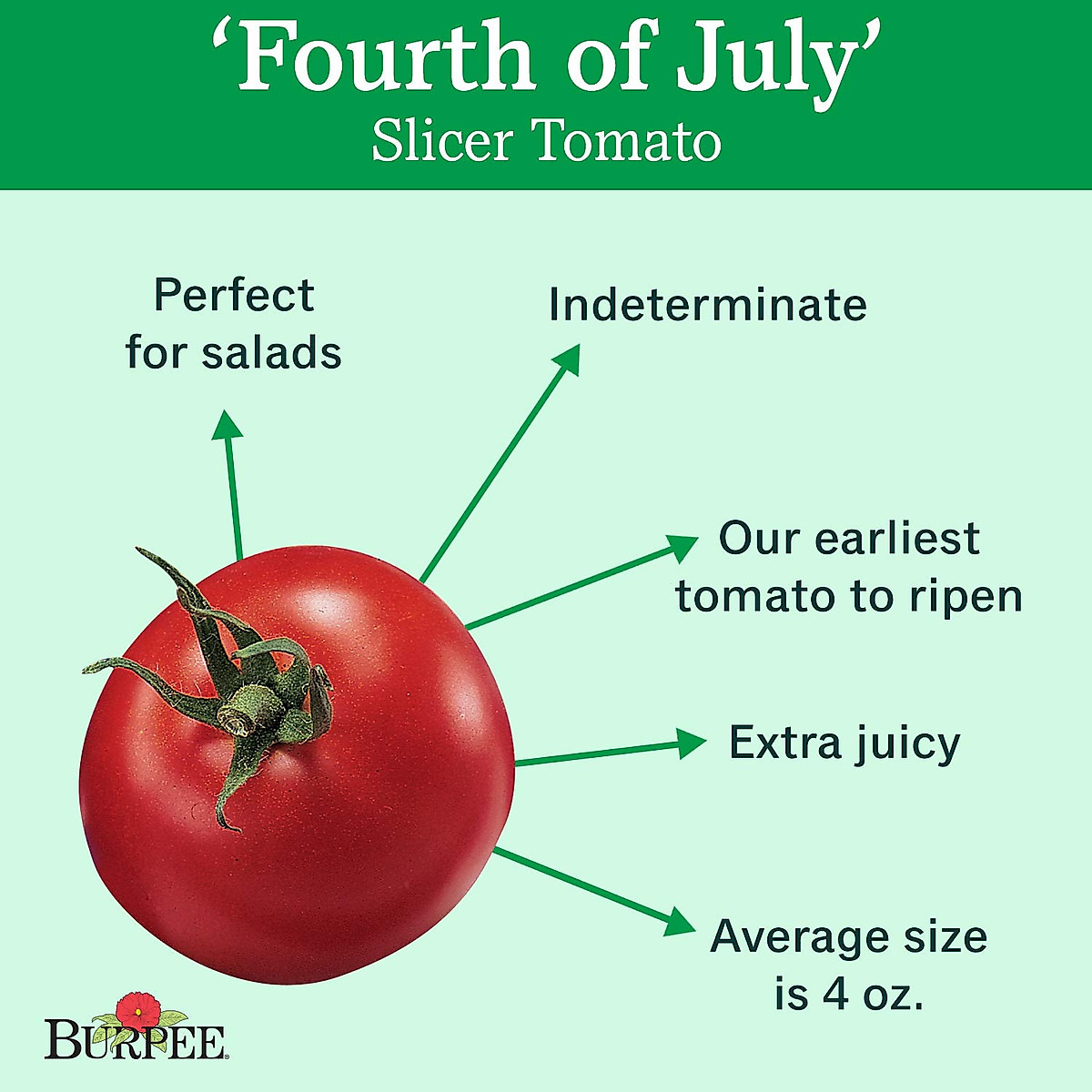 Burpee 'Fourth of July' Hybrid | Red Slicing Tomato | 50 Seeds