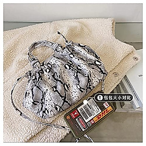 Women's Small Leather Rectangular Handbag Crossbody Purse Handbag Shoulder Bag Handle Satchel Purse Boho Shoulder Bag (sliver)