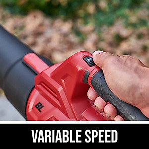SKIL CB7542B-10 PWR CORE 20 Brushless 13" String Trimmer and 400 CFM Leaf Blower Kit, Includes 4.0Ah Battery and Charger