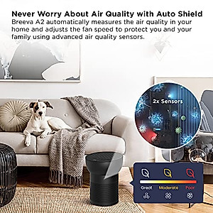 TCL Breeva A2 Air Purifiers for Home Bedroom with Ionizer Up to 441 ft², Auto Mode, H13 True HEPA Filter, 26db Quiet Air Cleaner Filter 99.97% Allergies Smoke Odor Pet Hair Dust Pollen Mold