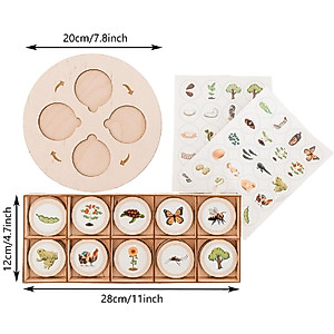 Montessori Life Cycle Puzzle Board Kit, Life Cycle Puzzle Kit of Animals, Plants and Insects, Toddler Puzzle Development Toys, Early Educational Toy for 3~6 Years Old Preschool Kids