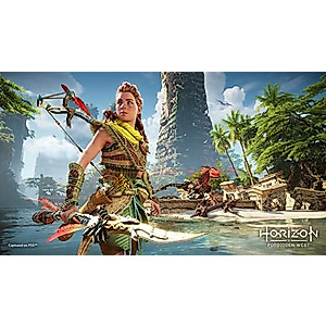 Horizon Forbidden West (PS4)