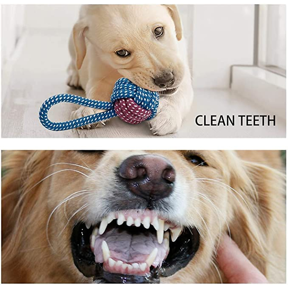 Derong Puppy Toys for Small Dogs, Teething Toys for Puppies,Cute Dog Toys for Small Dogs,Durable Chew Toys for Puppies,100% Natural Cotton Rope Chew Toys,Non-Toxic and Safe(7 Pack)