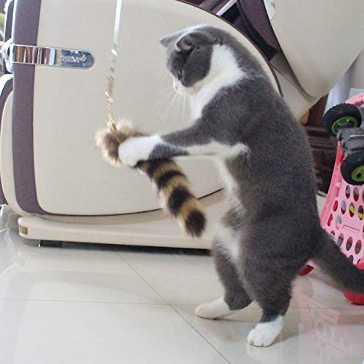 Fosrion Real Raccoon Tail Fur Cat Bites Toy with Three Section Retractable Carbon Fiber Rod (Raccoon) (Raccoon, Tail & Fishing Rod)