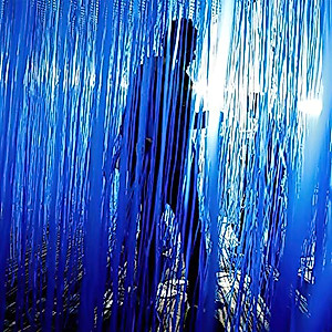 PartyWoo 2 pcs Royal Blue Foil Fringe Curtain, Metallic Foil Tinsel Fringe Backdrop Door Fringe for Birthday Wedding Party Photo Backdrop, Blue Streamers Party Decorations