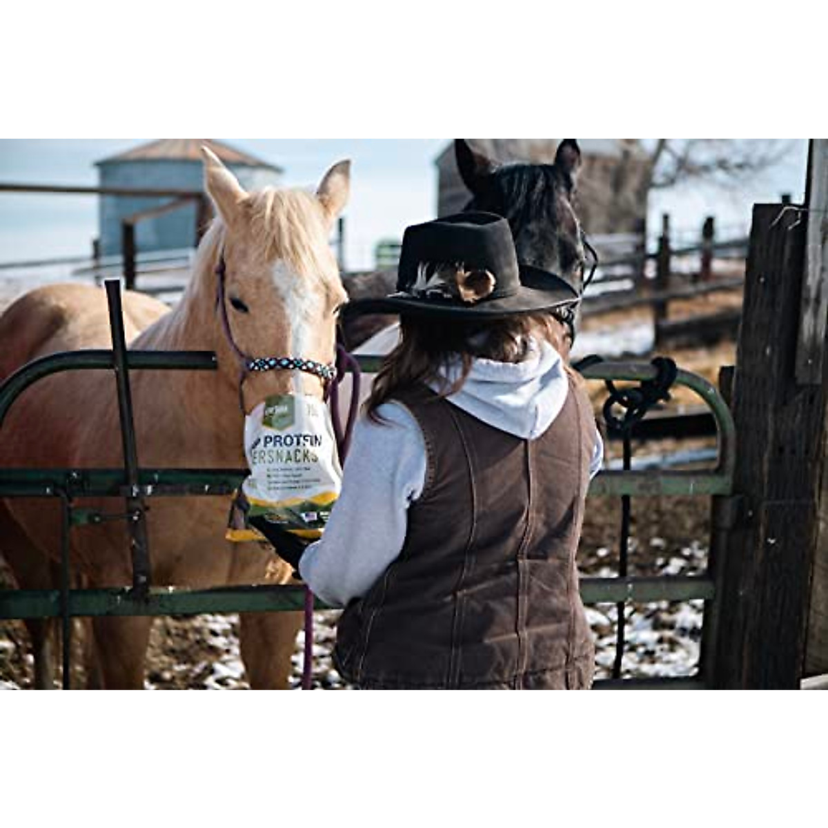 Hemptana Hemp Protein Supersnacks for Horses - Horse Treats to Support Digestive, Cognitive, & Joint Health - Improved Equine Stress Response – High Protein Horse Supplement - (4 lbs)