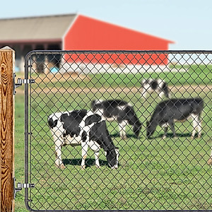 Insaga Cast Gate Hinges Heavy Duty, 304 Stainless Steel Wall Mount Gate Hinge with 5/8'' Pin, Durable Farm Gate Hinge, Non-Welded Fence Gate Hinge, Chain Link Fence Hinge, 2Pcs