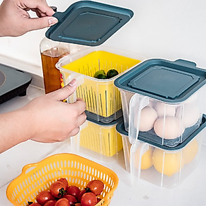 Star Ayze Berry Keeper Containers with Removable Drain Basket - Pack of 4 Fruit And Vegetable Produce Saver Container for Refrigerator Organizer Bin