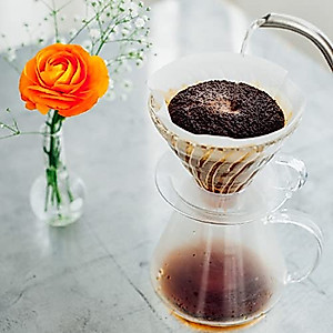 Hario "Simply Glass V60 Pour Over Set with Glass Server, Scoop and Filters, Size 02, Clear