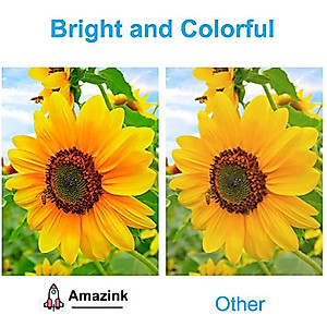 (5 Pack) Canon PGi-250XL / CLi-251XL Compatible Replacement Ink Cartridges. Works with PIXMA MX922 MX920 IP7220 IP8720 MG7520 MG6320 Printers. 5 Pack (PG Black, Black, Cyan, Magenta, Yellow)