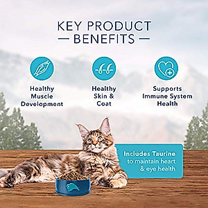 Blue Buffalo Wilderness High Protein, Natural Adult Dry Cat Food, Chicken 12-lb