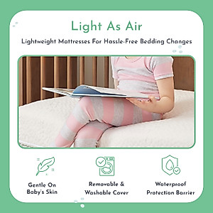 Evolur Comfort Balance Plus Supreme 260 Coil Inner Spring Crib & Toddler Mattress, Waterproof, Green Guard Gold Certified, Removable Cover, White, Crib