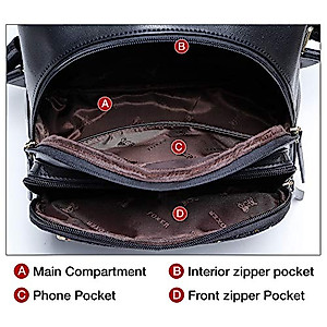 FOXER Women Leather Backpack Purse Small Backpack Casual Shoulder Bags (Black)