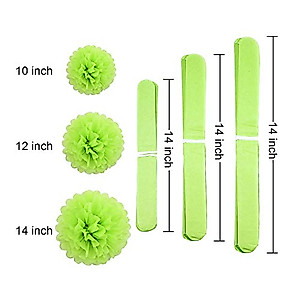 Livder Paper Flowers Bright Colorful Tissue Paper Pom Poms for Party Birthday Wedding Christmas Festive Decorations, 15 Pieces of 10, 12, 14 Inch