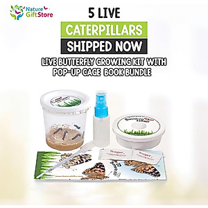 Live Butterfly Growing Complete Kit - Includes 5 Live Caterpillars - All-in-One Set with Net Cage, Food, and Rearing Supplies - Book Bundle