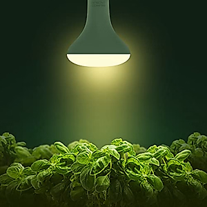 LED Grow Light Bulb, Briignite BR30 Grow Light Bulbs, Full Spectrum Grow Light Bulb 12W, 120W Equivalent, Plant Light Bulbs E26 Base, Grow Light for Indoor Plants, Seedlings, Greenhouse, Hydroponic