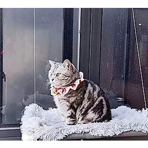 HlinZoom Pet Collars Red Lace Scarf, Dress Up and Costume for Pet Decoration, Ideal Gifts and Decoration for Cats and Dogs (Style-5)