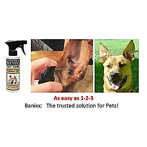 Banixx Pet Care 8oz for Ear Infections, Hot Spots, Itchy Dry Skin, Ringworm, Yeast Infections. Safe Around The Eye.