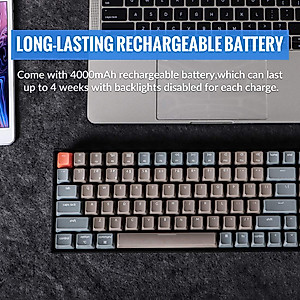 Keychron K4 RGB Bluetooth Mechanical Keyboard, Wired USB C Gaming Keyboard with Optical Blue Switch N-Key Rollover, Compact 100 Keys Computer Keyboard for Mac Windows PC Gamer - Version 2