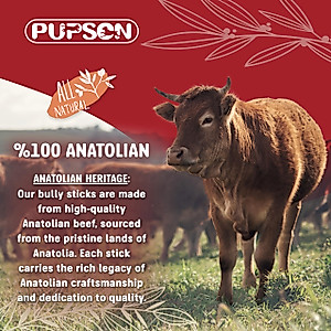 PUPSON 6" Bully Sticks for Dogs, 100% Natural Beef Pizzle Chews, Grass-Fed, Non-GMO, Grain-Free, Long-Lasting Dog Treats for Medium & Large Dogs, Jumbo, 12 Pack