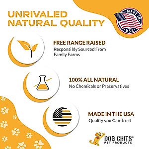 Dog Chits Bison Lung Fillets Dog and Puppy Treats - All Natural Grain and Chemical Free Training Chews - High Protein and Low Fat - Supports Dental Health - Made in The USA - Large 10 oz Bag