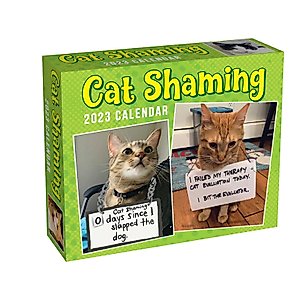 Cat Shaming 2023 Day-to-Day Calendar
