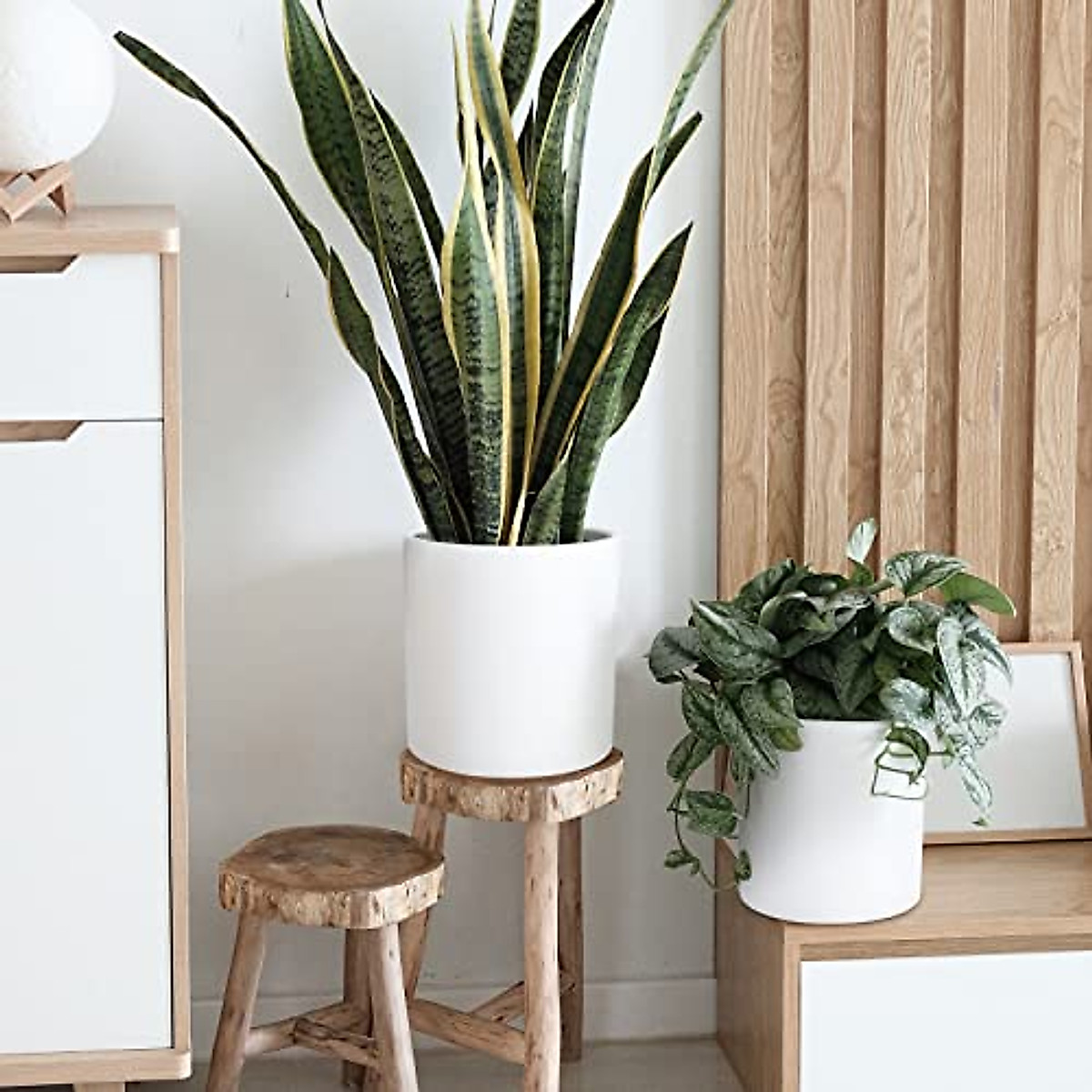 8 Inch Ceramic Plant Pot, Flower Pots for Plants with Drainage Hole, Indoor Planter Pot, White