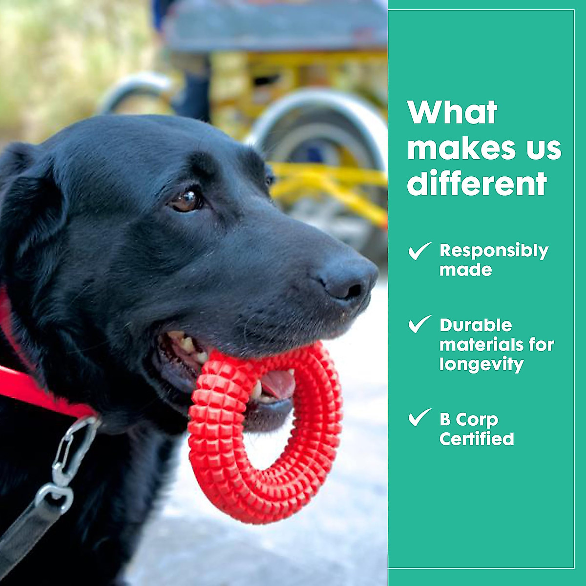 Dog Chew Toys for Aggressive Chewers - Chew Ring Interactive Medium Large Dog Puzzle Toys, Dog Chew Enrichment Toys for Boredom and Brain Stimulating Game Keeps Them Engaged