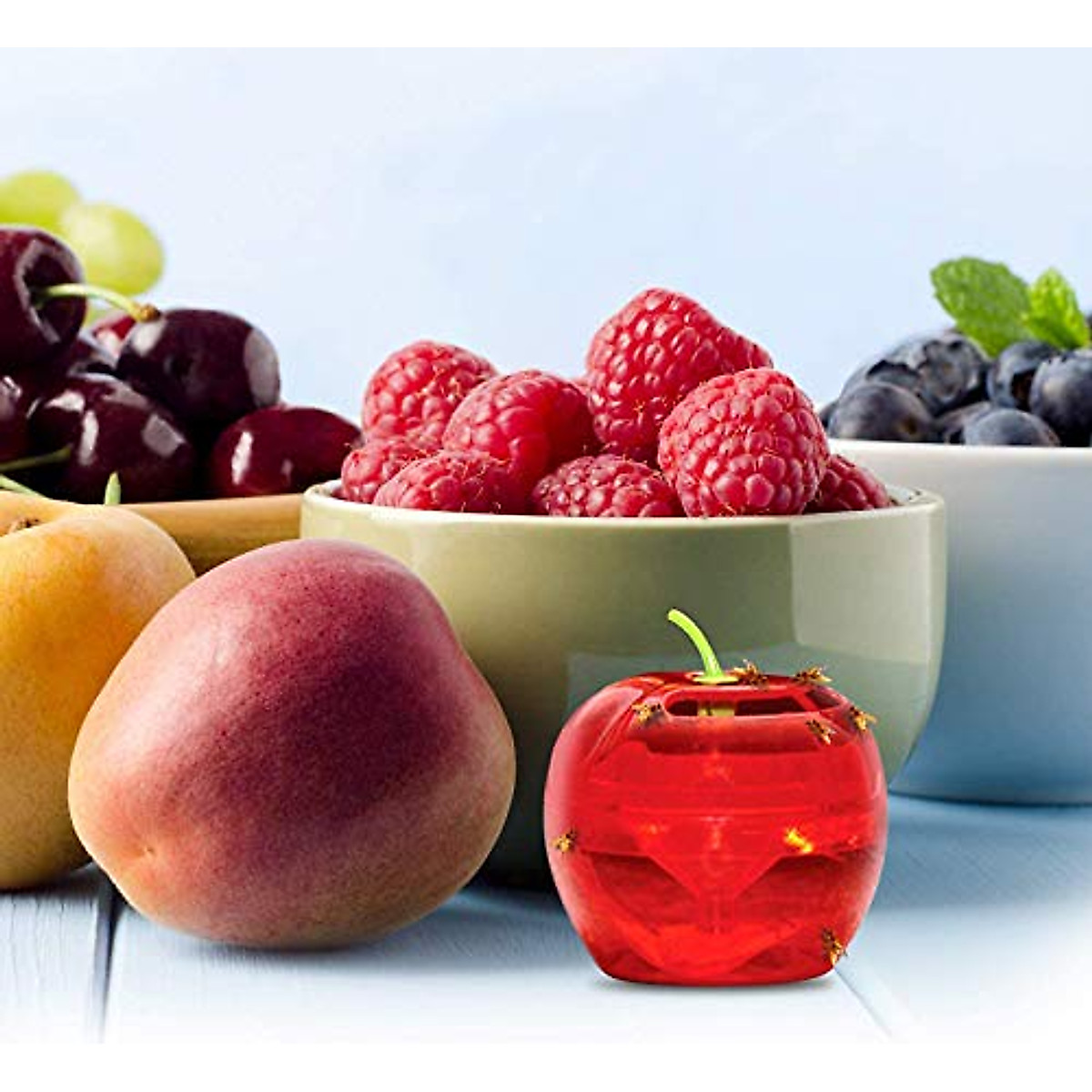 Raid Fruit Fly Trap Bundle, Set of 3 2-Pack Apple Fruit Fly Catcher Indoor Trap, 360-Day Supply of Fruit Fly Traps for Kitchen & Dining Areas, Reusable Gnat Traps w/Food-Based Lure for Fruit Flies