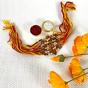 CRAFTONE Set of 12 Lucky Turtle Design Rakhi for Brother, Designer Rakhi Set for Raksha Bandhan, Small Beads Rakhi Thread Bhaiya Bhabhi Sister Rakhi Band for Rakshabandhan with Roli Chawal