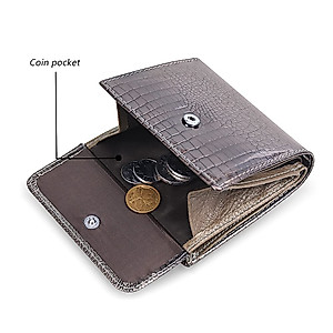 Dicihaya Women Small Compact Bifold Genuine Leather Wallet Ladies Mini Purse with ID Window Coin Pocket (Silver)