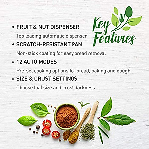 Panasonic SD-RD250 Bread Maker with Automatic Fruit & Nut Dispenser