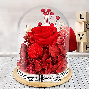 HENJADE Artificial Flower Rose Gift Decorations Beauty Rose Flowers, Rose Glass Dome, Red Forever Rose, Flower in Glass Dome, for Her Unique Gifts for Mom Valentine Christmas(Red)