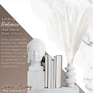 Livmore White Pampas Grass 35 Pcs, 19 inches/48cm Fluffy Natural Dried for Boho Wedding Centerpieces, Photography and Home Decor, Flower Arrangement Vase Fillers ,Kitchen and Garden Decorations