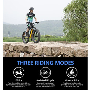 Katharina Shop Adults Electric Bike 750W Motor Fat Tire Electric Mountain Bicycle 48V Lithium Battery 7-Speed Snow Beach E-Bike Dirt Bicycles UL, Black
