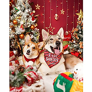 Waghaw Dog Christmas Bandana, 2 Pack Plaid Pets Bandana for Small Medium Large and Extra Large Dogs (Reds, Large)