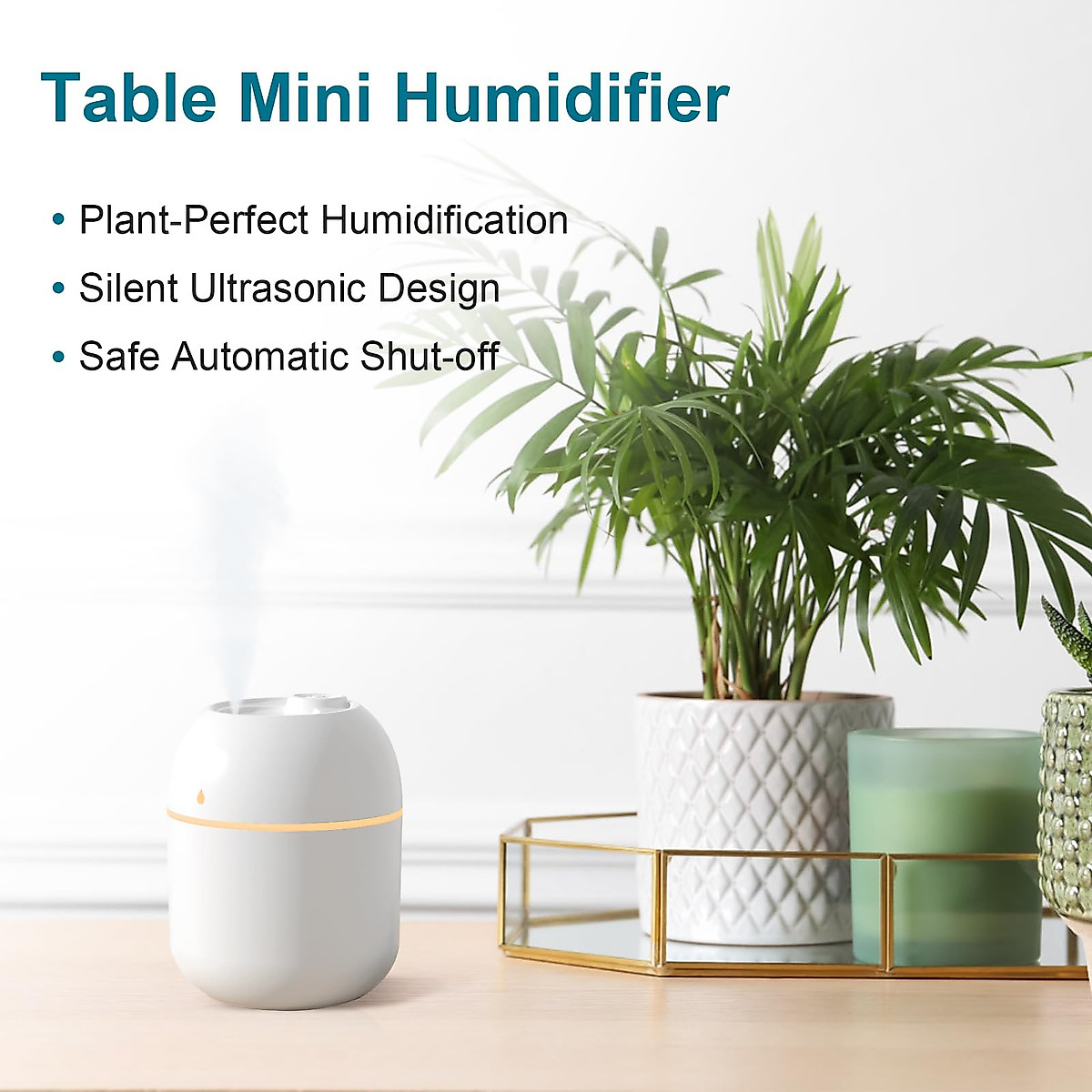 Portable Small Humidifier, USB Personal Desktop Humidifier for Car, Office Room, Bedroom, Auto Shut-Off, 2 Mist Modes, Super Quiet(220ml, White)