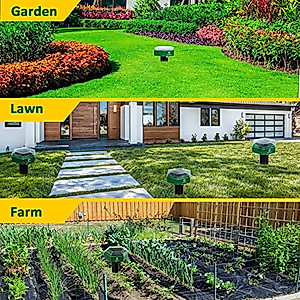 Careland Mole Repellent Stakes Solar Powered Ultrasonic Gopher Deterrent Groundhog Repeller Sonic Spikes Outdoor Vole Control Chaser for Lawn and Garden Waterproof (2)