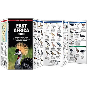 East Africa Birds: A Folding Pocket Guide to Familiar Species in Kenya, Tanzania & Uganda (Nature Observation International)