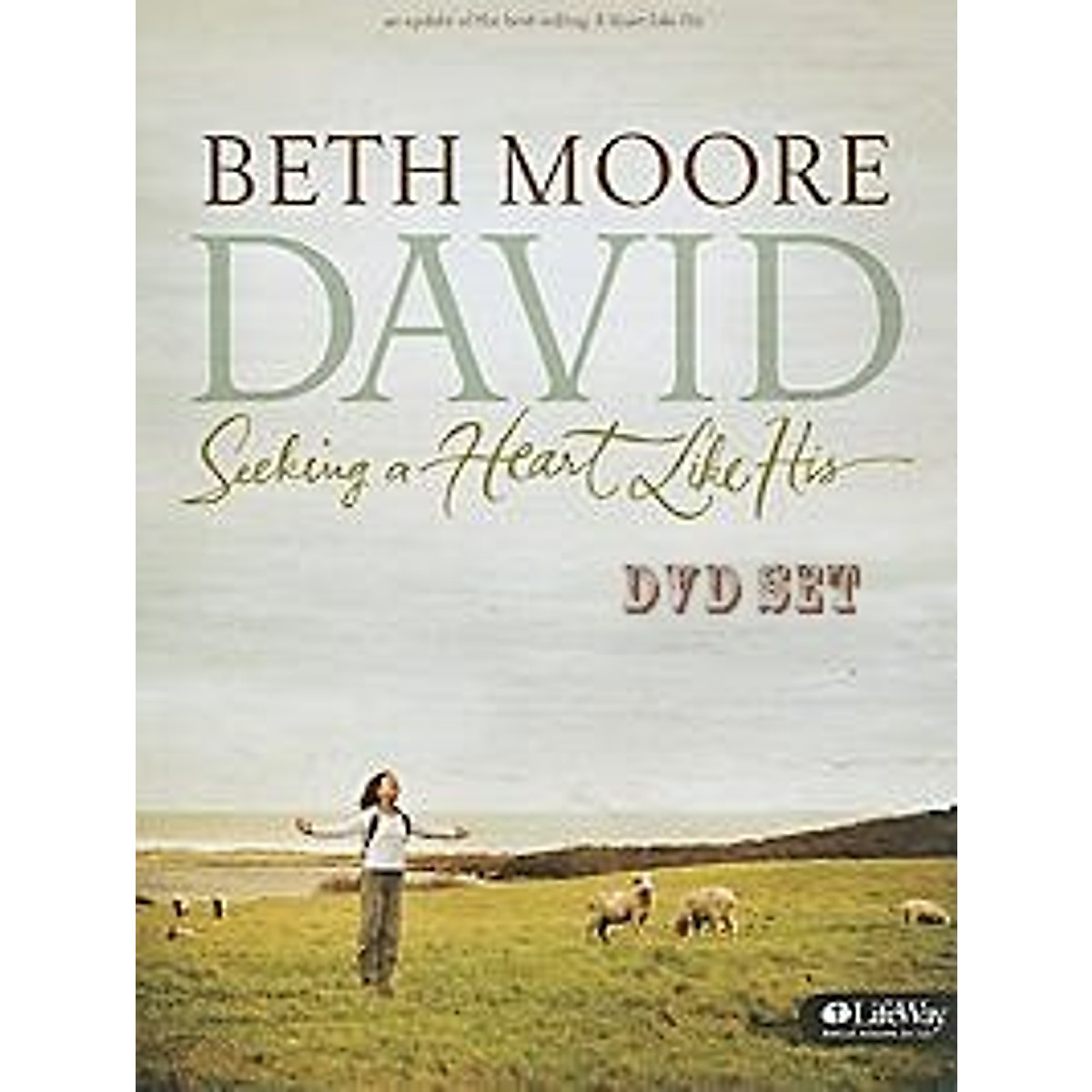 BEIJIXI David Seeking a Heart Like His DVD Set by Beth Moore (DVD-ROM) YQ