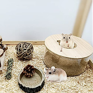 Tfwadmx Hamster Sand Bath Box, Container Transparent Beds, Hamster Bathroom & Digging Room ransparent Acrylic Small Animals Shower Bathtub with Wooden Cover for Mice Gerbil Squirrel (Large)