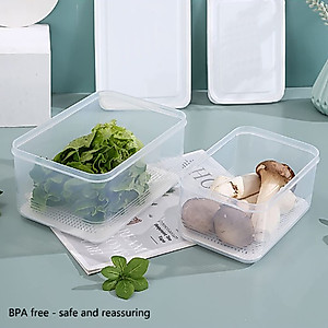 WonLiq 3 Piece Food Storage Containers with Airtight Lids, Stackable Kitchen Organizer Bin, BPA Free, Produce Saver Storage Container for Refrigerator