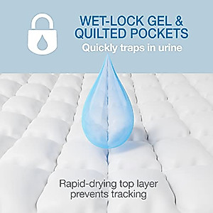 Four Paws Wee-Wee Superior Performance Pee Pads for Dogs - Dog & Puppy Pads for Potty Training - Dog Housebreaking & Puppy Supplies - 22" x 23" (200 Count)